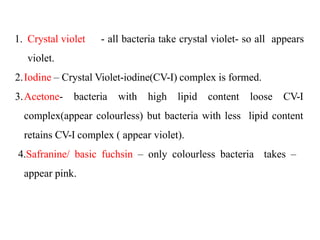 Gram Staining PDF.pdf