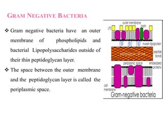 Gram Staining PDF.pdf
