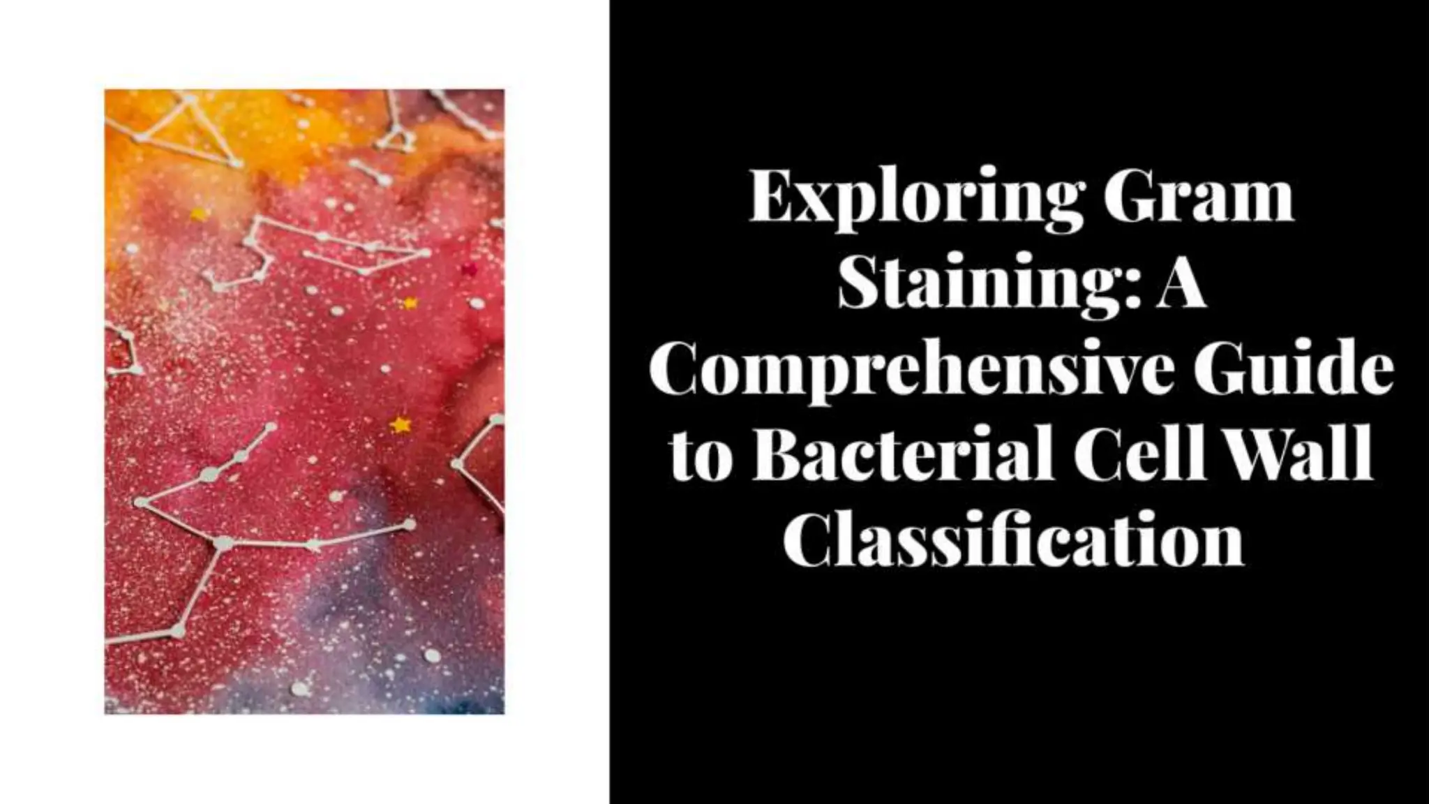 Exploring Gram Staining: A Comprehensive Guide to Bacterial Cell Wall ...