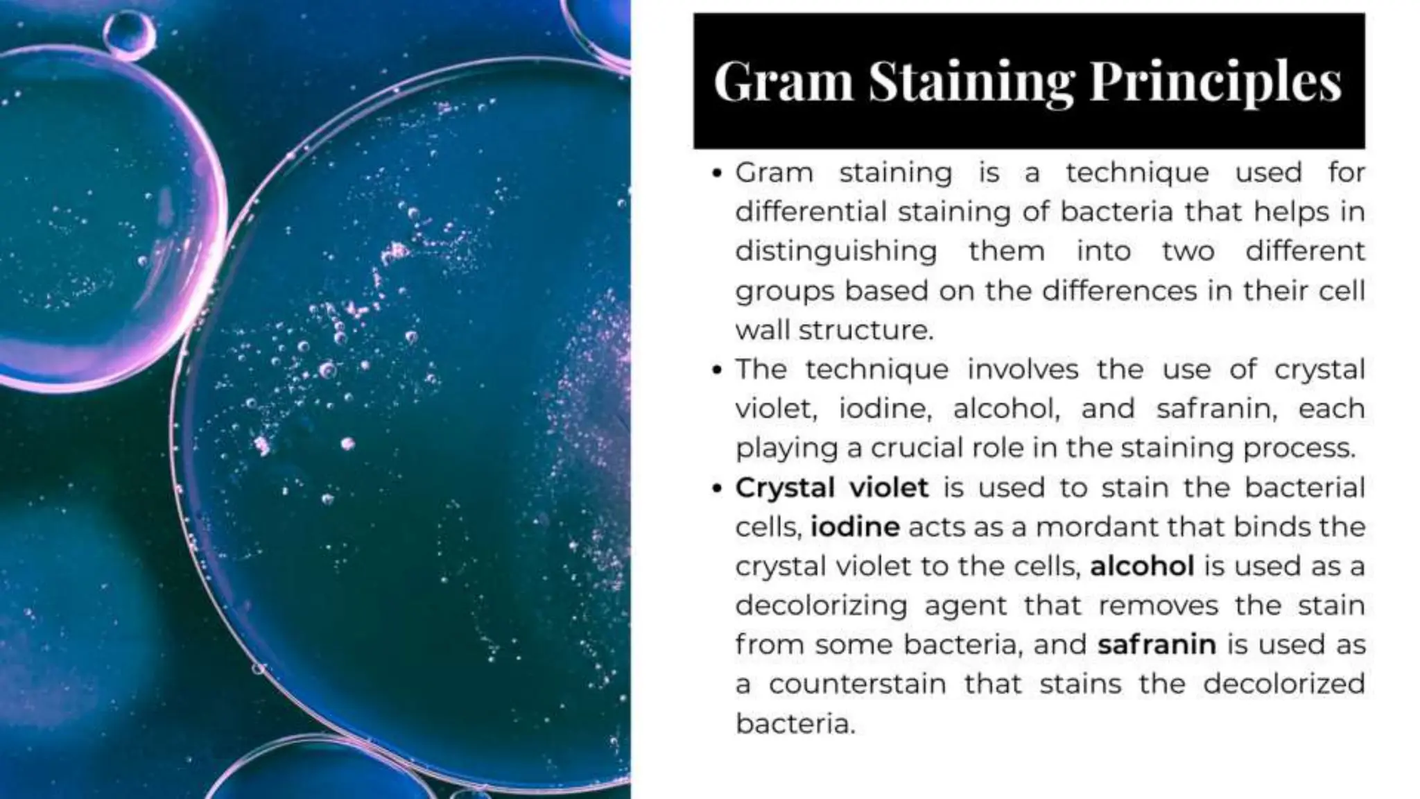Exploring Gram Staining: A Comprehensive Guide to Bacterial Cell Wall ...