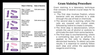 Exploring Gram Staining: A Comprehensive Guide to Bacterial Cell Wall ...