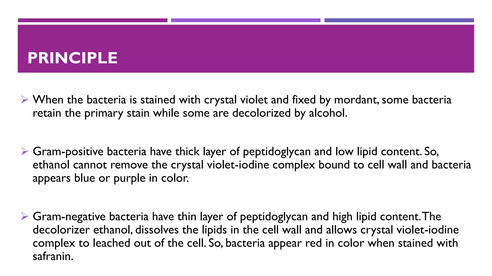 Gram staining technique | PDF