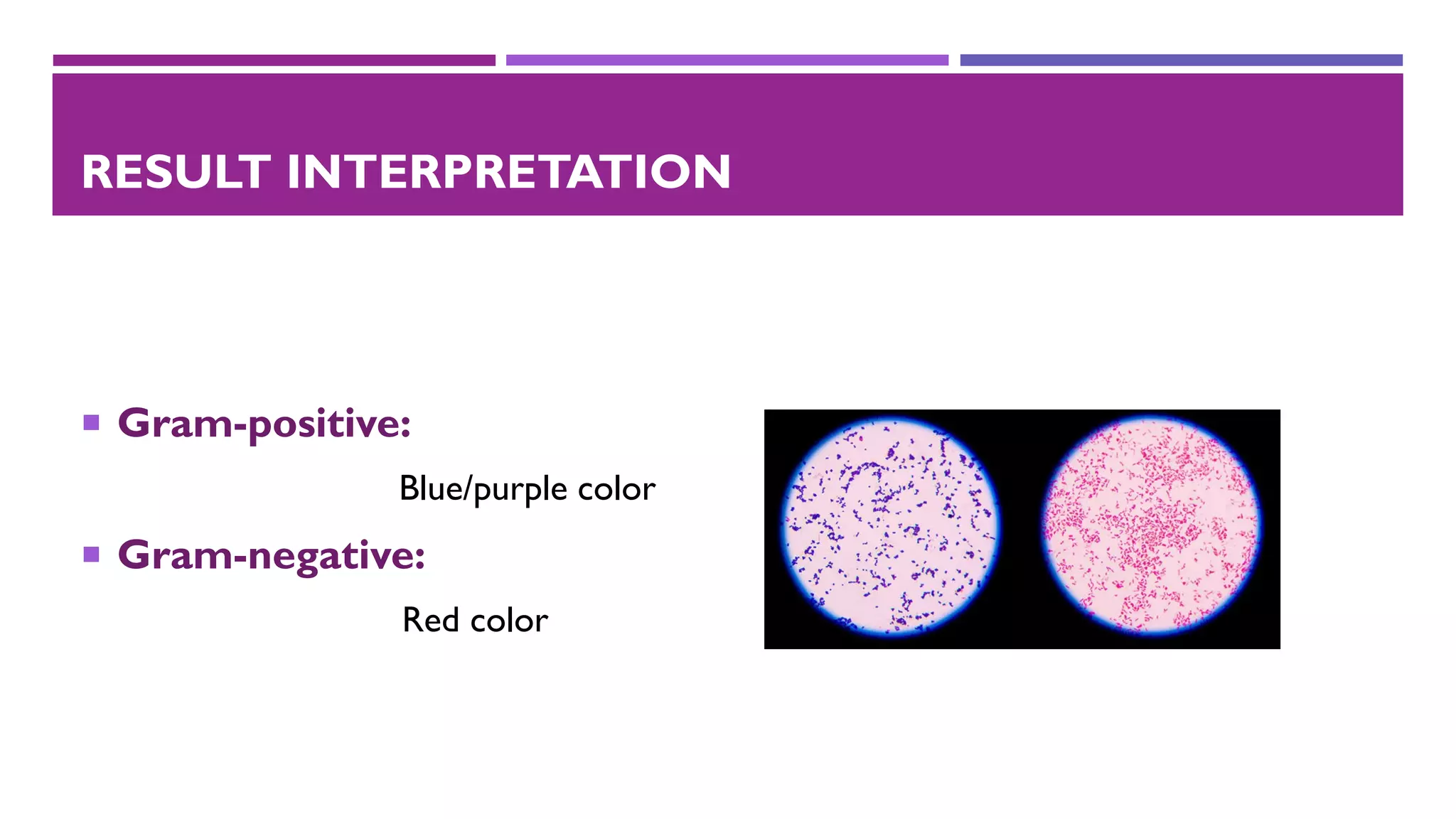 Gram staining technique | PDF