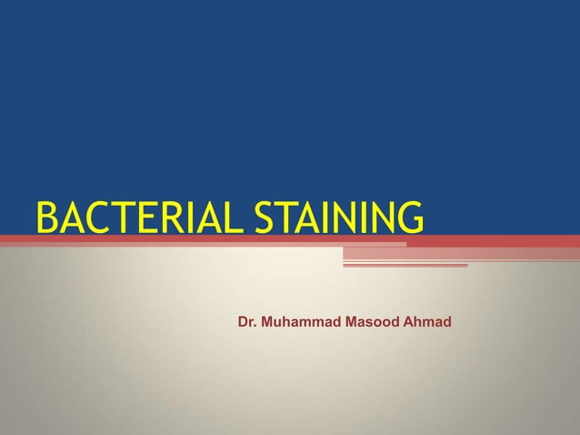 Gram staining technique.pptx