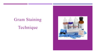 gram staining technique. identification pptx | PPTX