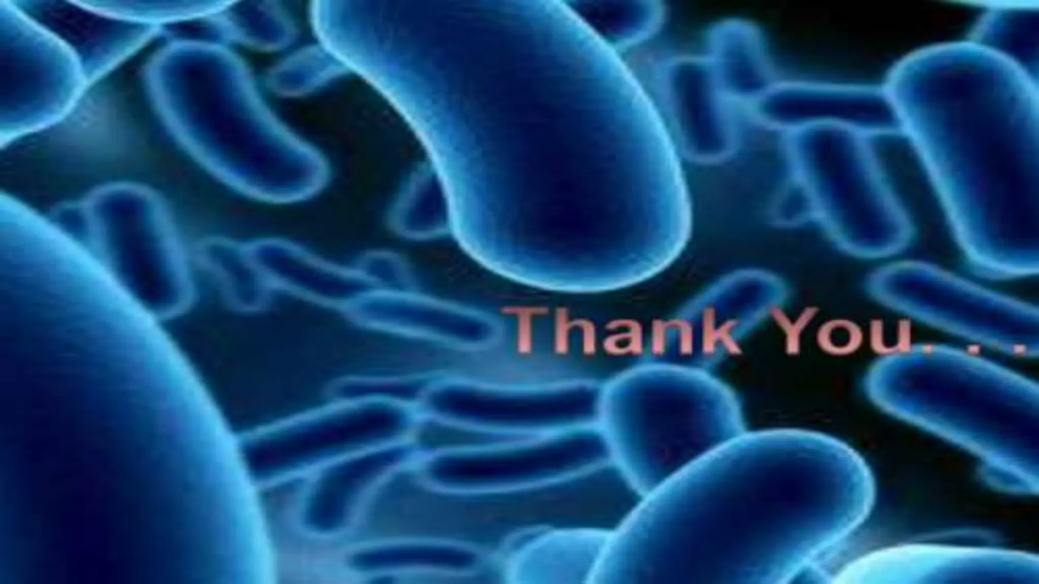 Gram staining technique for bacterial identification.ppt