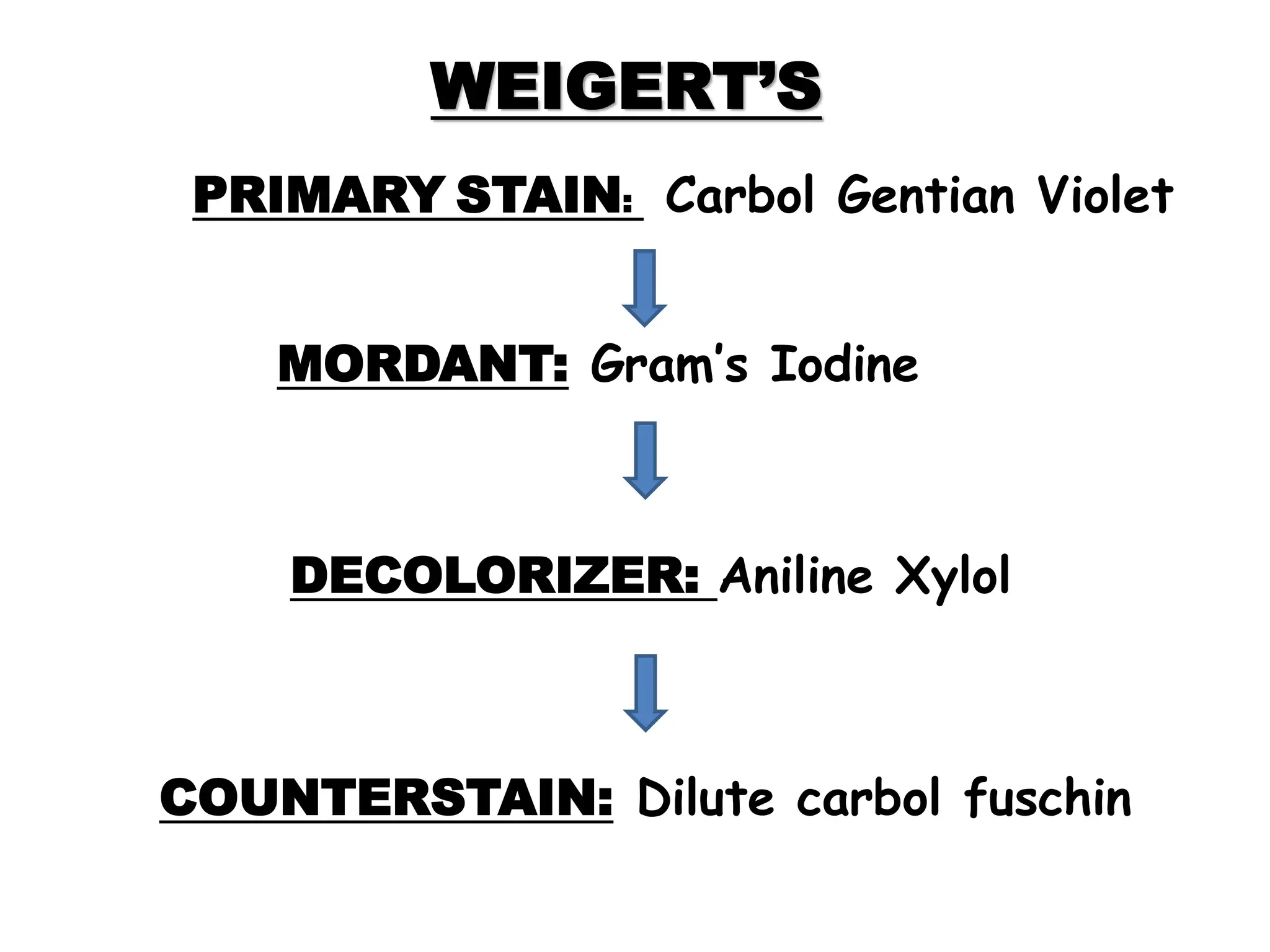 Presentation on Gram staining and modifications.pptx