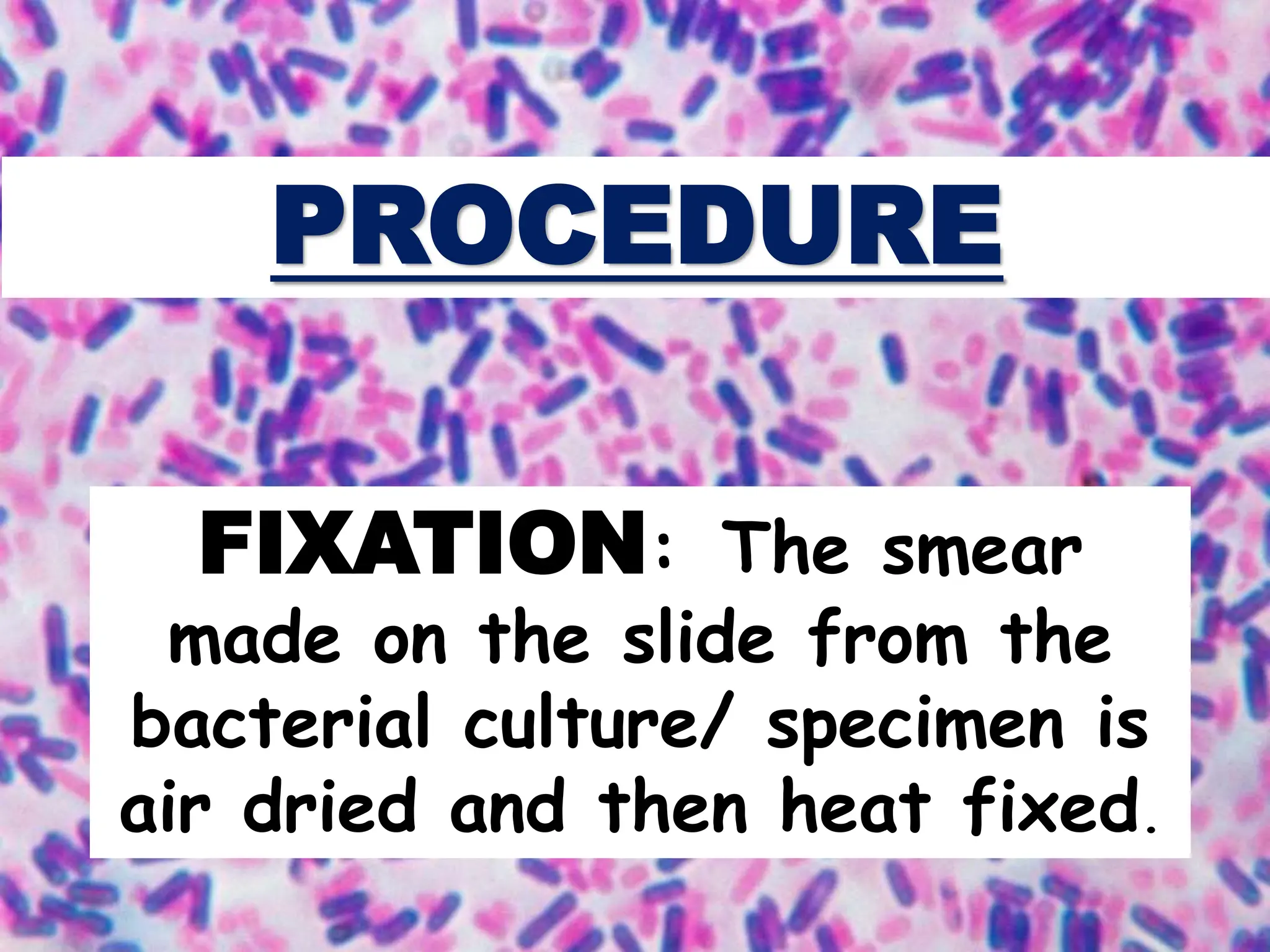Presentation on Gram staining and modifications.pptx