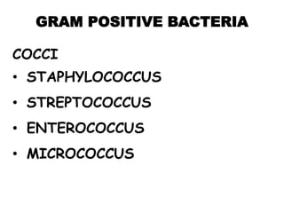 Presentation on Gram staining and modifications.pptx