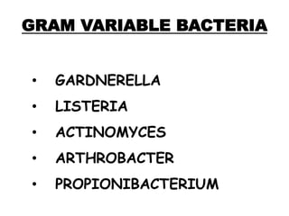 Presentation on Gram staining and modifications.pptx