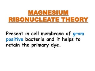 Presentation on Gram staining and modifications.pptx