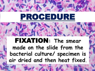 Presentation on Gram staining and modifications.pptx