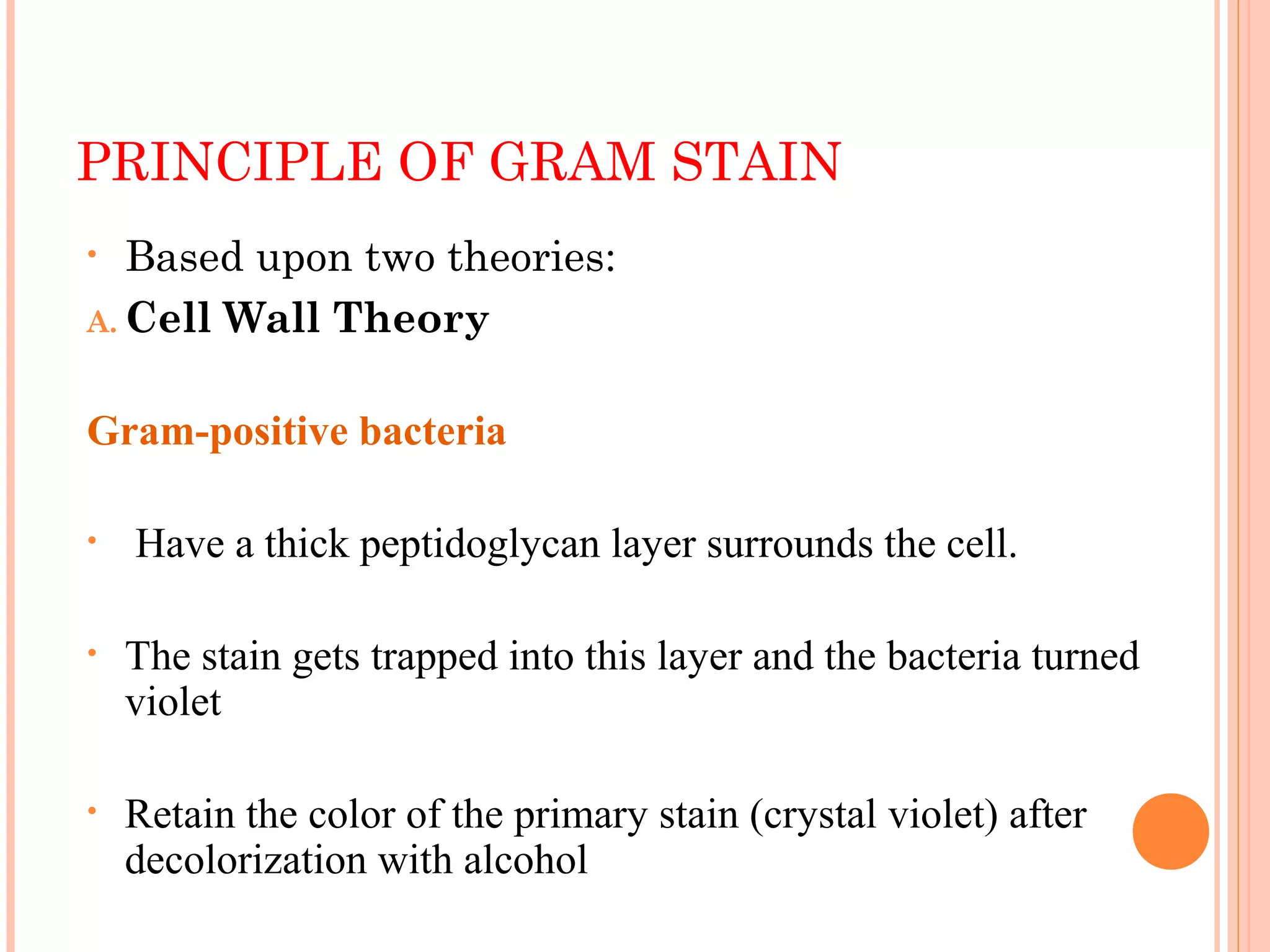 Gram Stain Practical Briefing | PPT