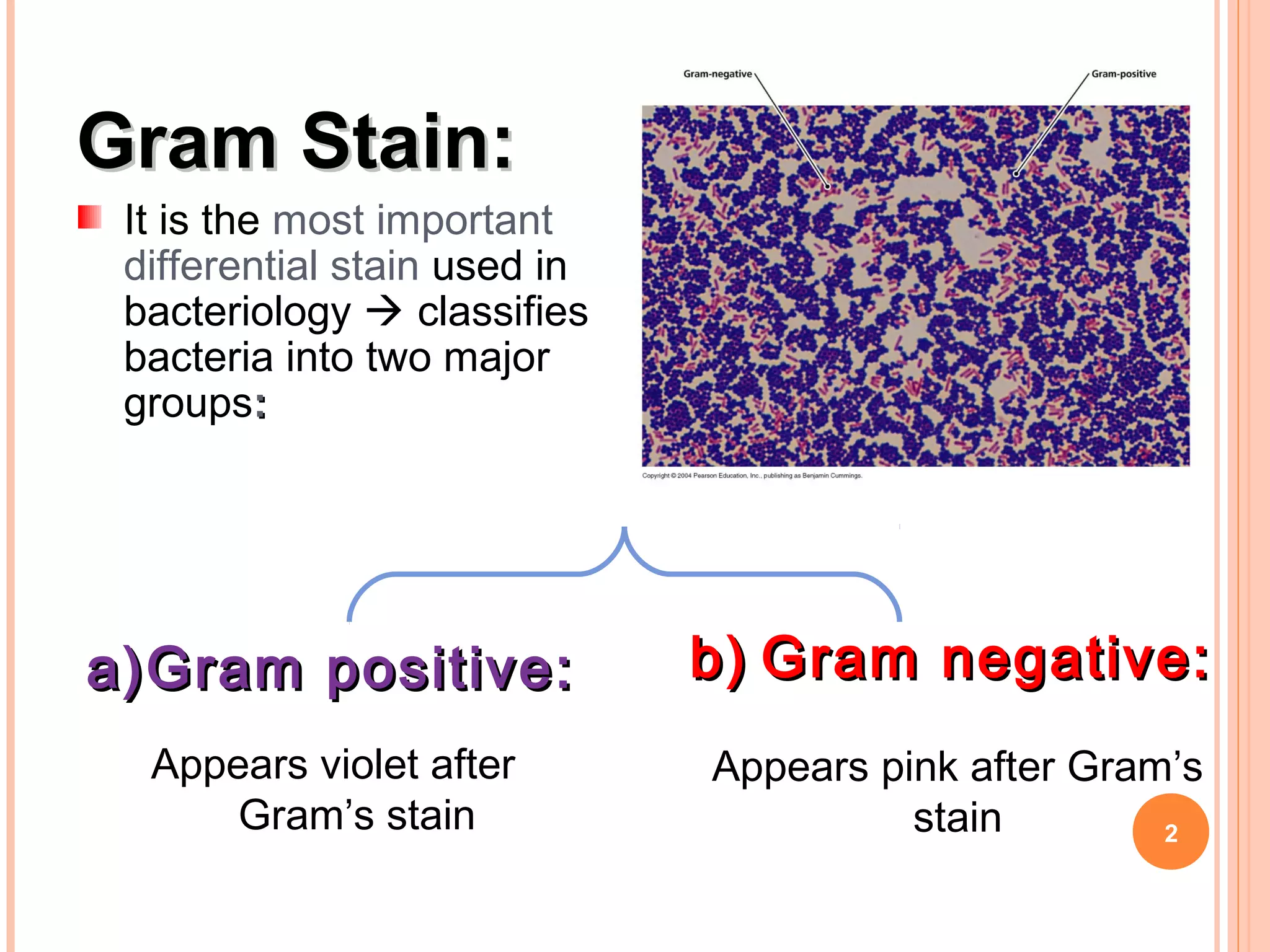 Gram Stain Practical Briefing | PPT