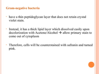 Gram Stain Practical Briefing | PPT