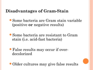 Gram Stain Practical Briefing | PPT