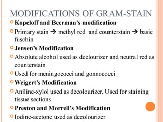Gram Stain Practical Briefing | PPT