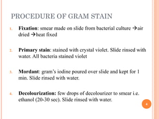 Gram Stain Practical Briefing | PPT