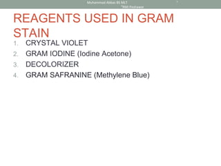 Gram stain procedure | PPT