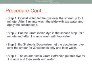 Gram stain procedure | PPT
