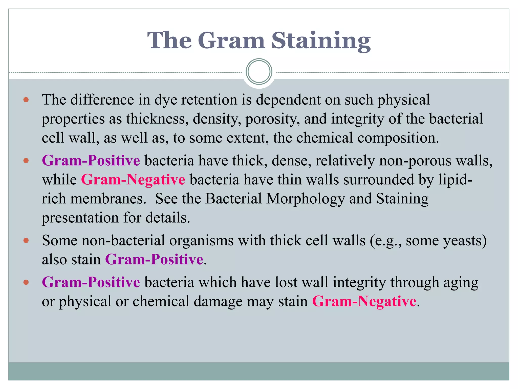 Gram stain | PPTX