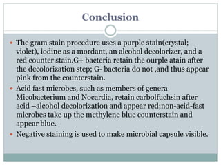 Gram stain | PPTX