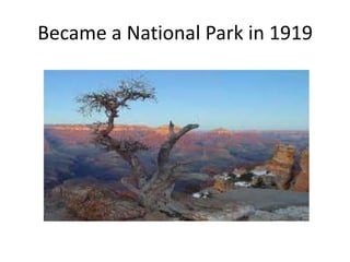 Grand canyon | PPTX