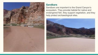 Grand Canyon 2018 by Chloe Tippett presentation to Creekside elementary ...