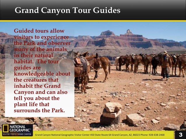 Grand Canyon Wildlife | PPT