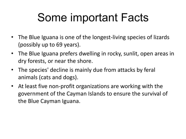 Grand Cayman Blue Iguana | PPTX