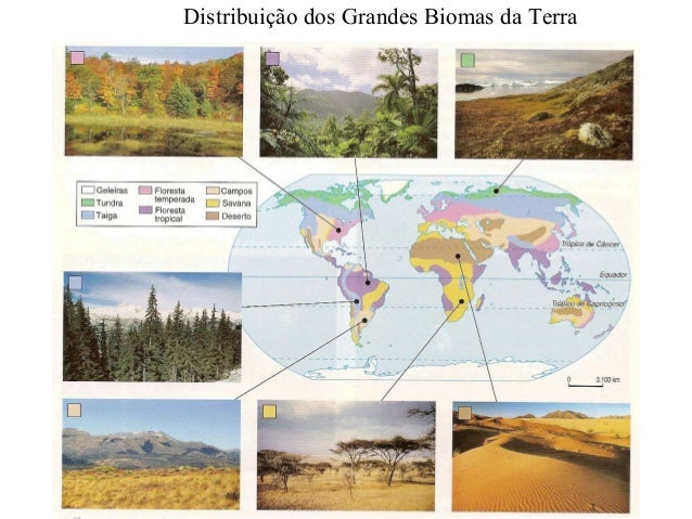 GRANDES BIOMAS DO MUNDO