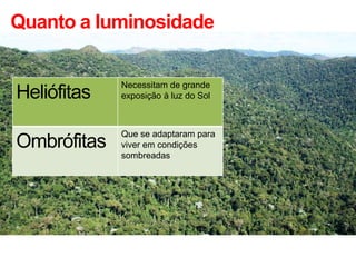 Grandes biomas terrestres | PPTX