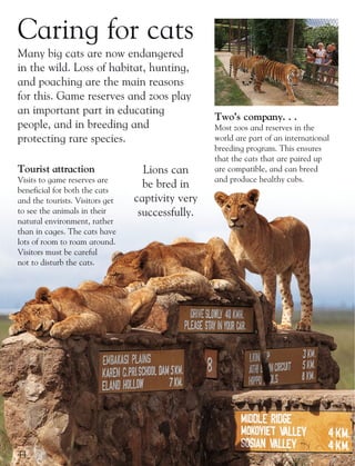 Grandes Felinos - Big Cats | PDF
