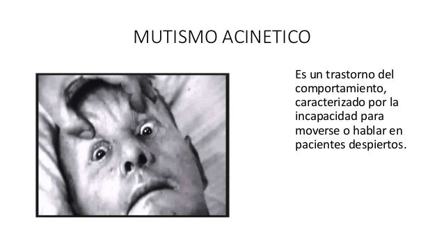 Grandes sindromes neurologicos