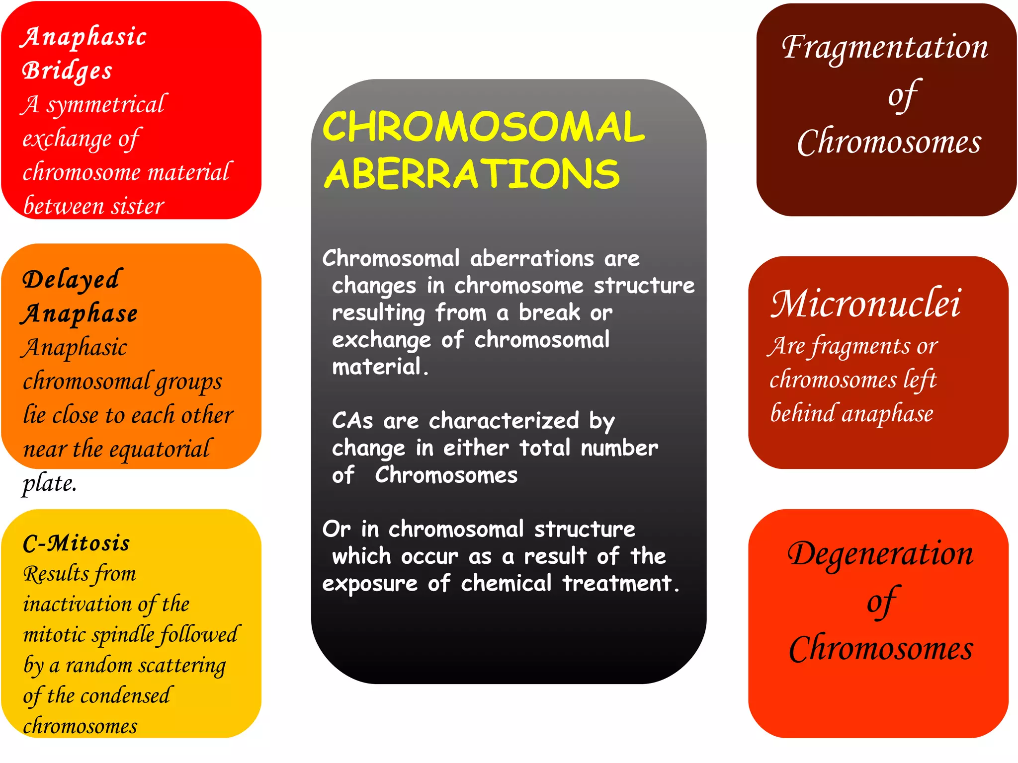Grand finale ppt | PPT
