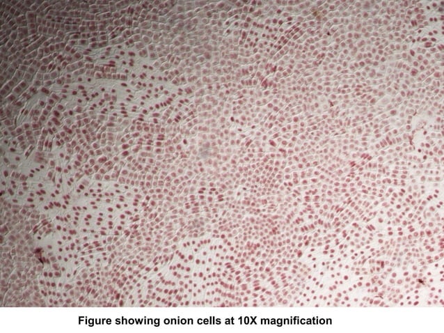 Grand finale ppt | PPT