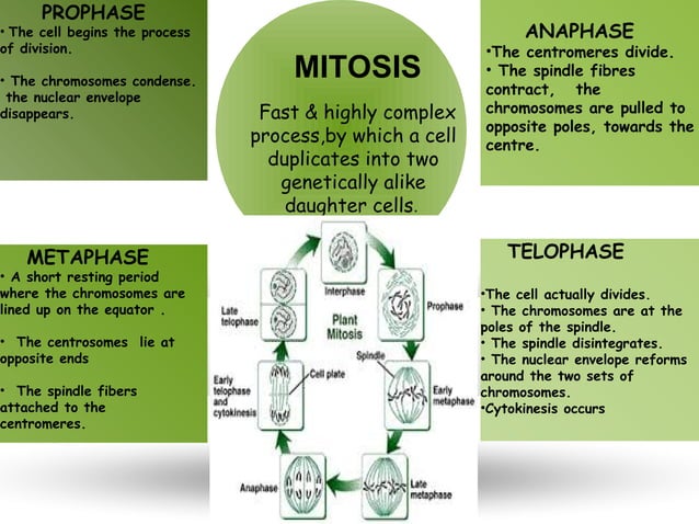 Grand finale ppt | PPT
