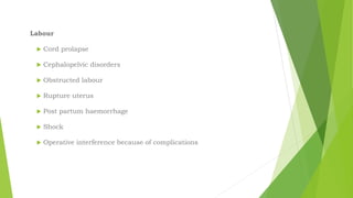 GRAND MULTIPARA.pptx