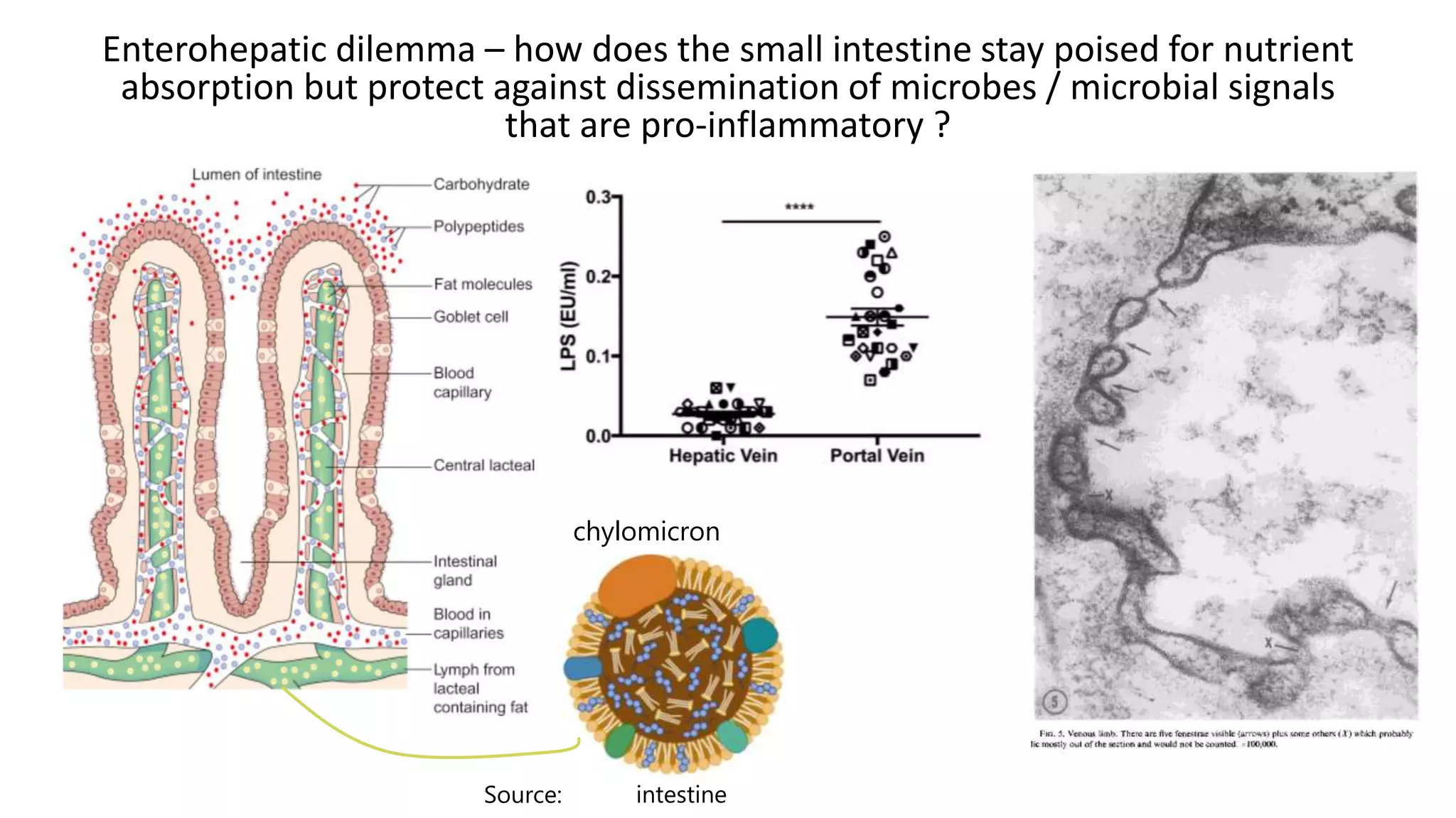 Immunophysiological Mechanisms that Limit Dissemination of Microbial ...