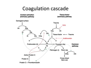 Grand rounds MRHT bleeding disorders.pptx