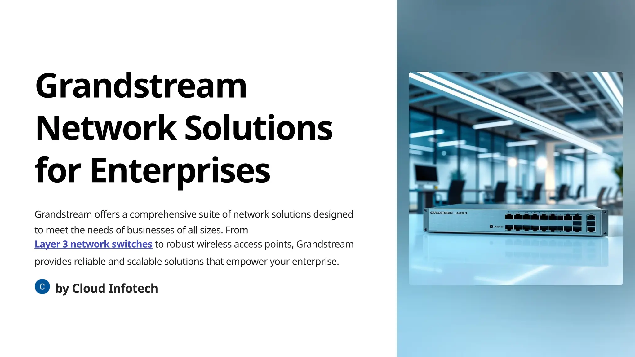 Layer 3 Network Switches | Cloud Infotech | PPT