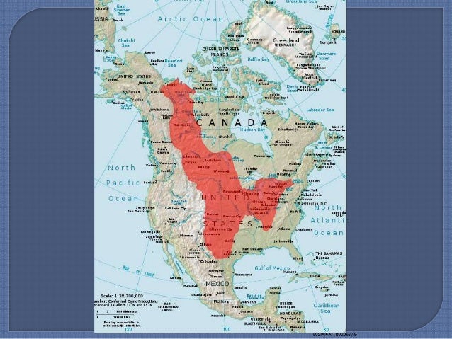 Gran llanura central norteamericana
