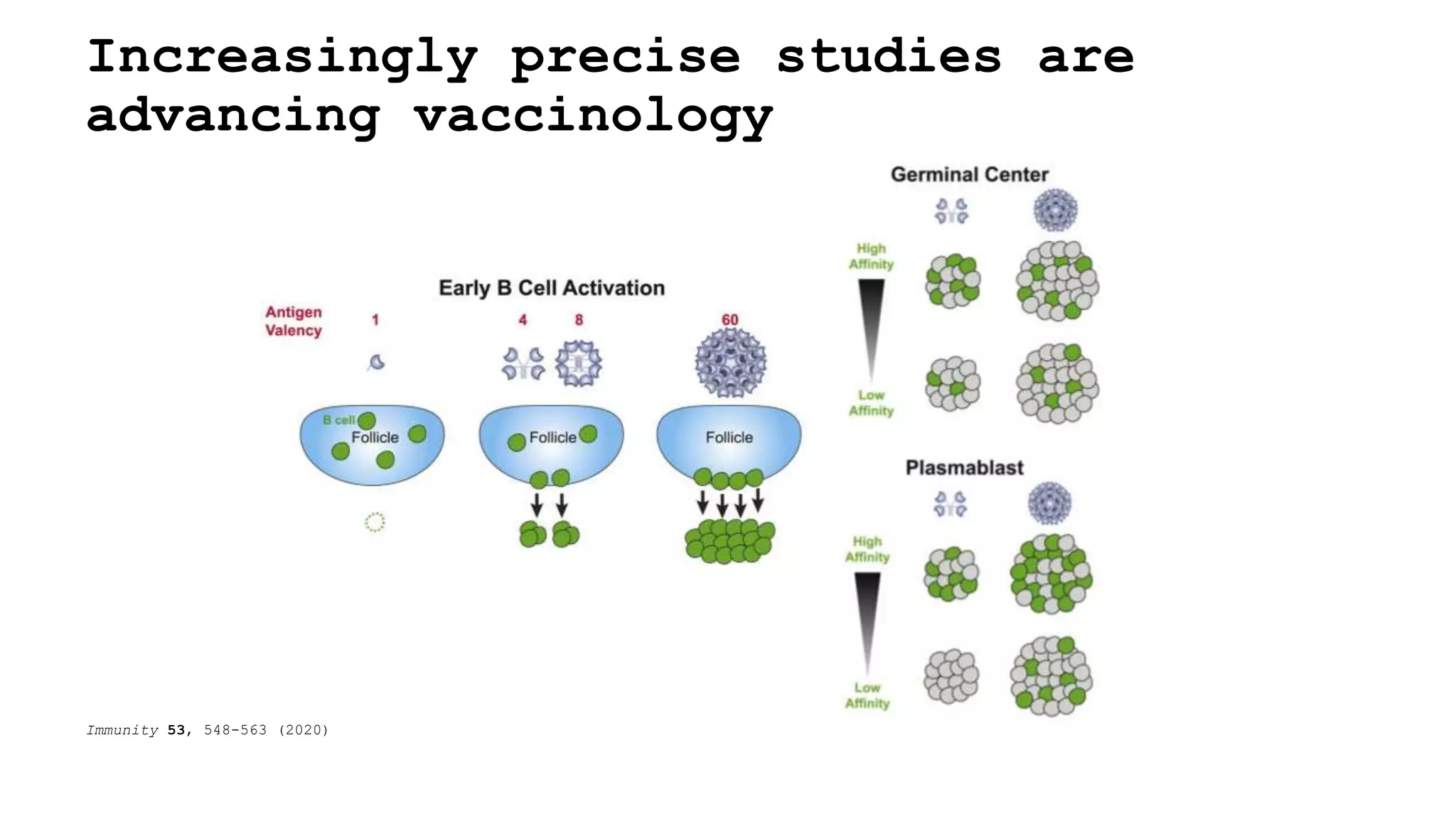 Nucleic Acid Nanostructures As Antigen Presentation Platforms Ppt