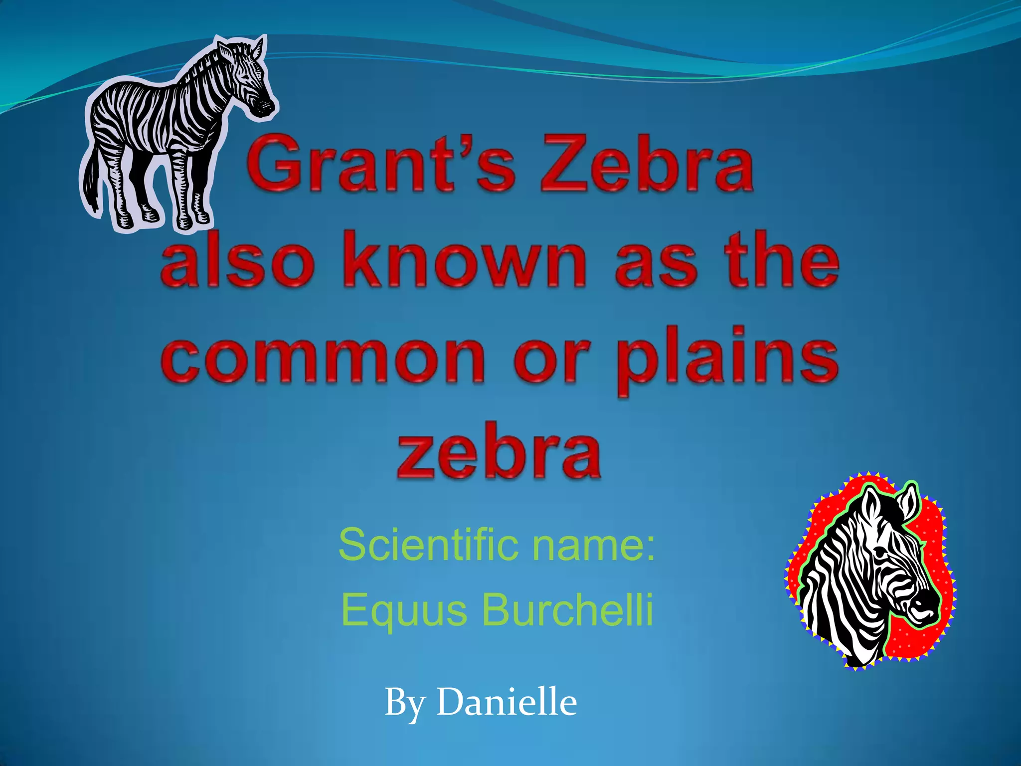 Grant's zebra zoo project | PPT