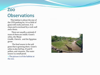 Grant's zebra zoo project | PPTX