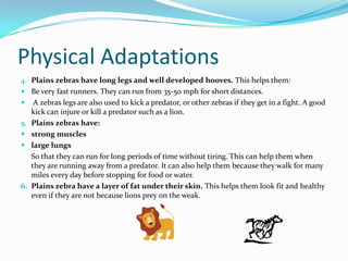 Grant's zebra zoo project | PPT