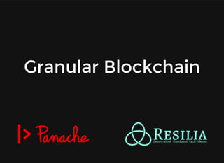 Granular Blockchain | PPT