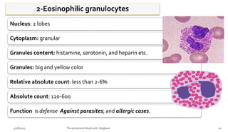 Granular and Non Granular cells.ppt