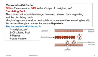 Granular and Non Granular cells.ppt