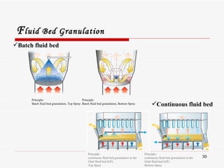 Granulation | PPT